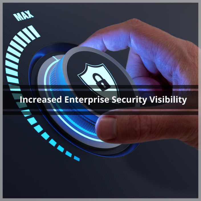 Increased Enterprise Security Visibility - Discovered Intelligence